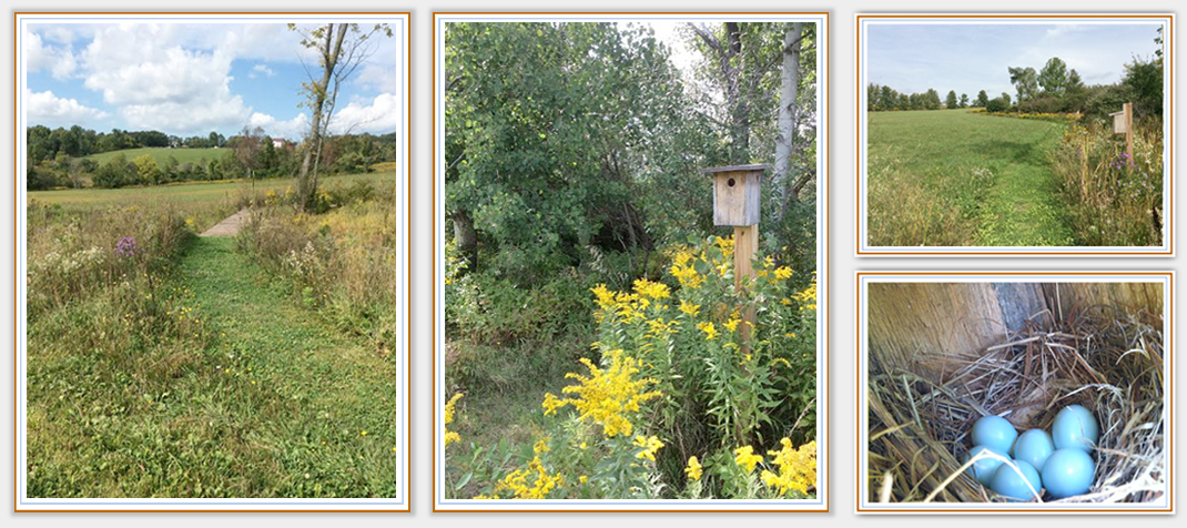 Bluebird Trail Farm trail pictures | Bluebird Trail Farm