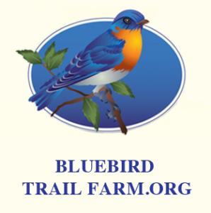 Bluebird Trail Farm | Organic food, education and fun
